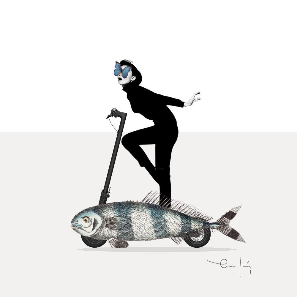 Lámina Decorativa «Patín Pez» Collage – Mundo Boo| Láminas de Diseño y collage